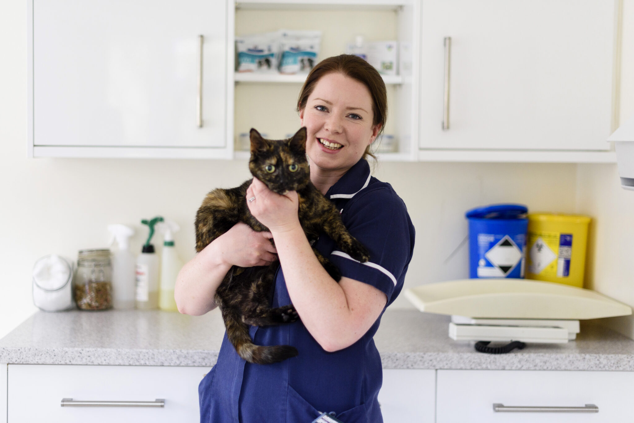 Local Veterinary Centre In Uppingham | Kings Vets