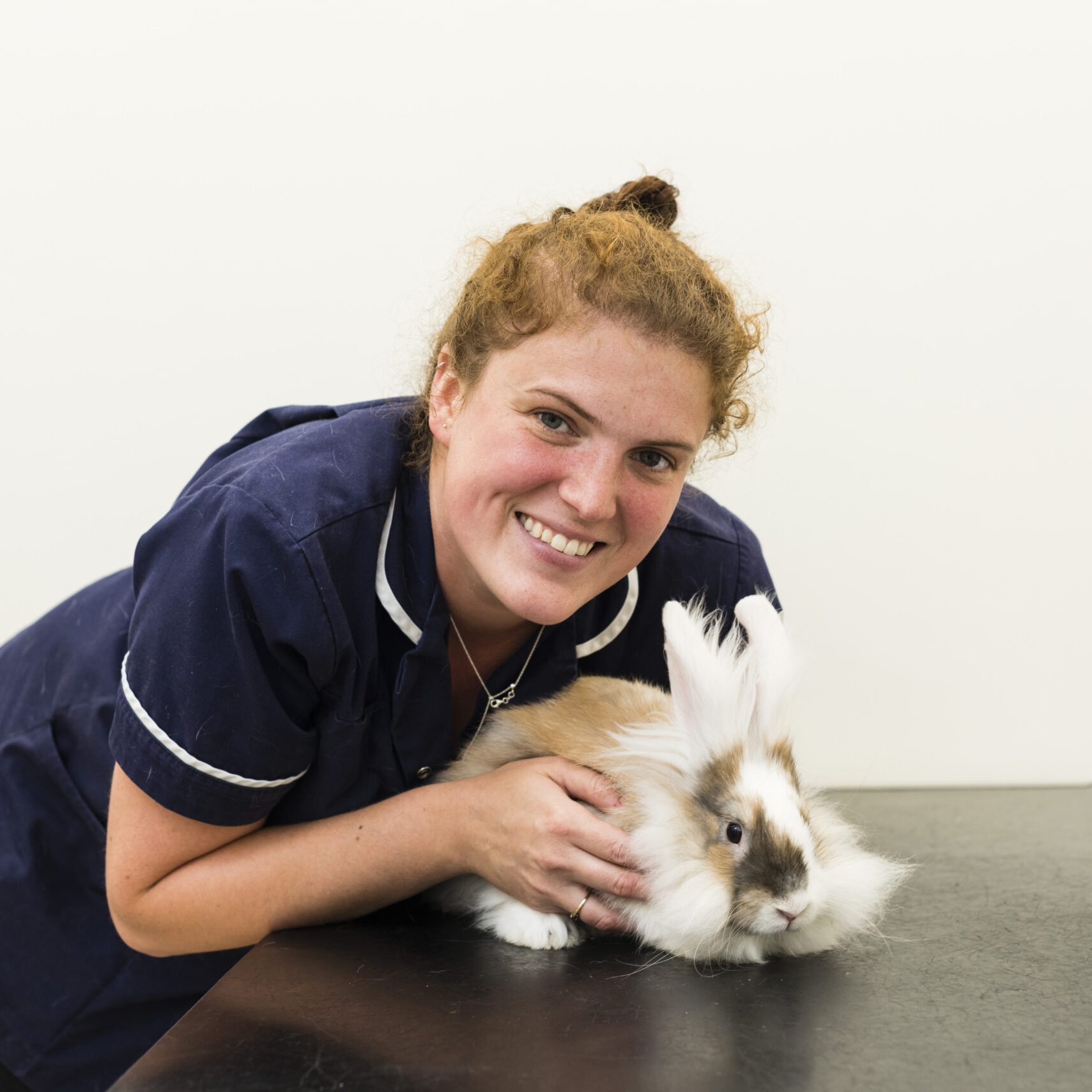 Pet Neutering In Leicester - Kings Vets